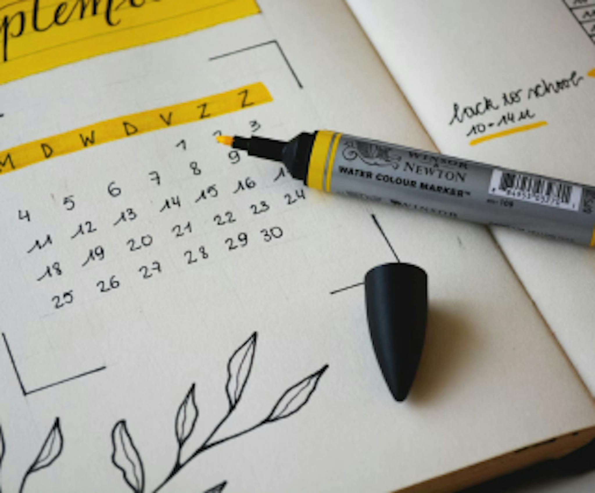 Plentiful - Homepage