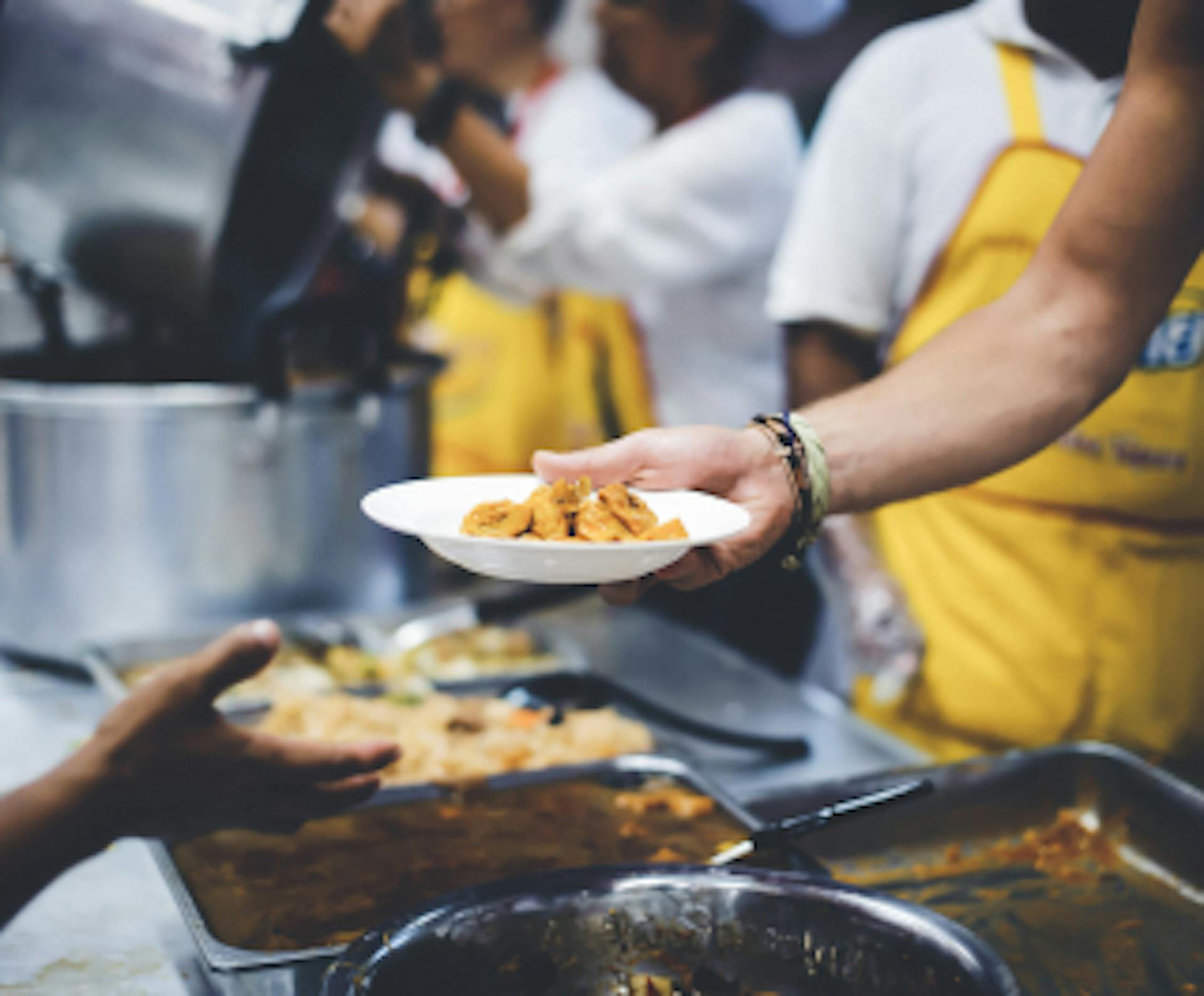 Plentiful - Homepage