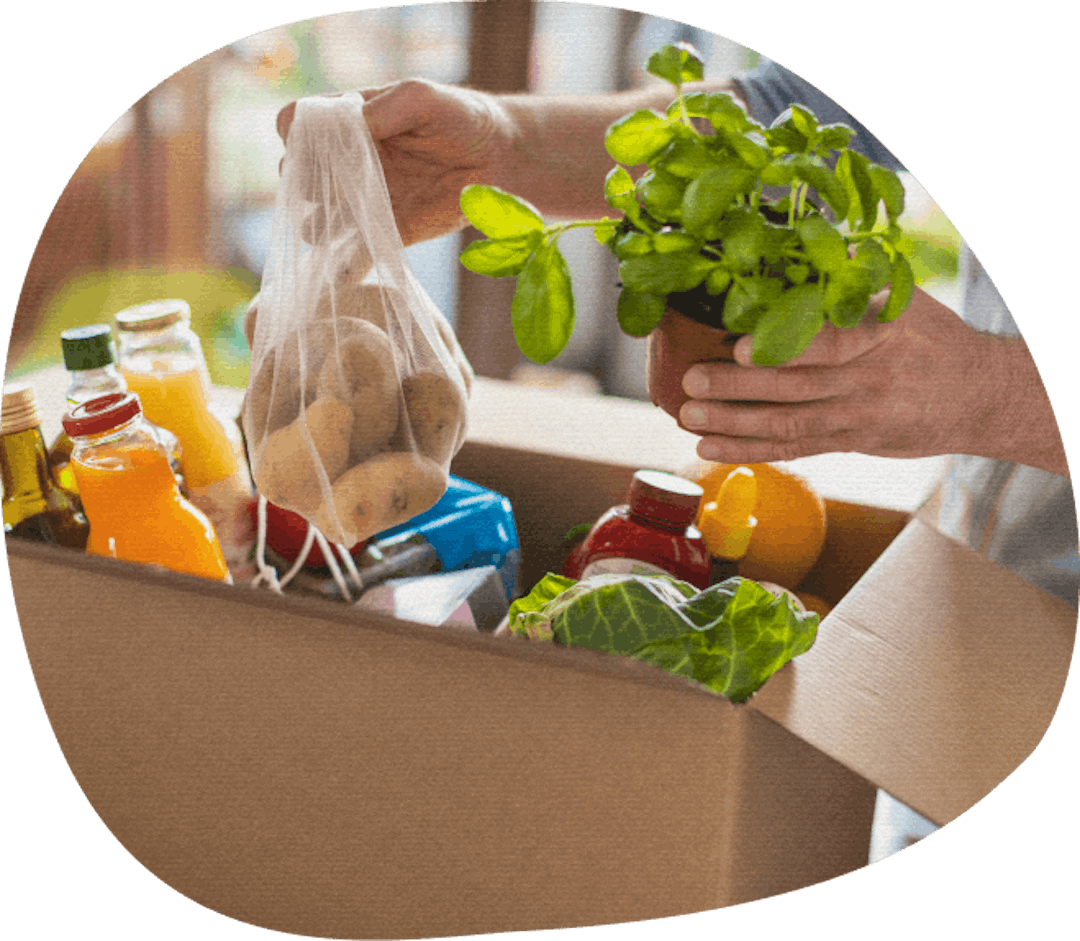 Plentiful - Homepage