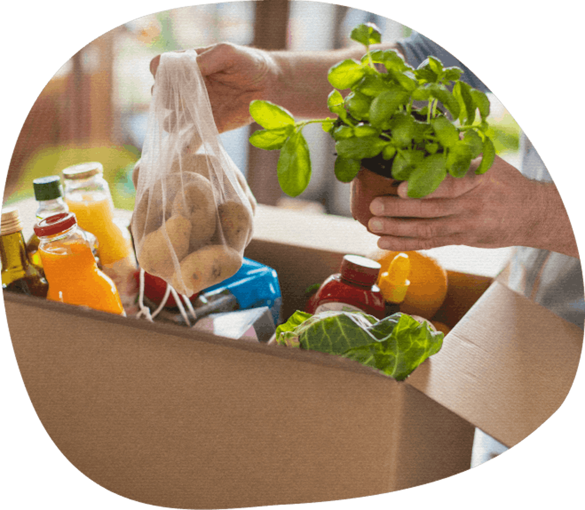 Plentiful - Homepage