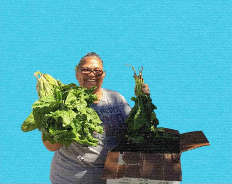 Plentiful - Homepage