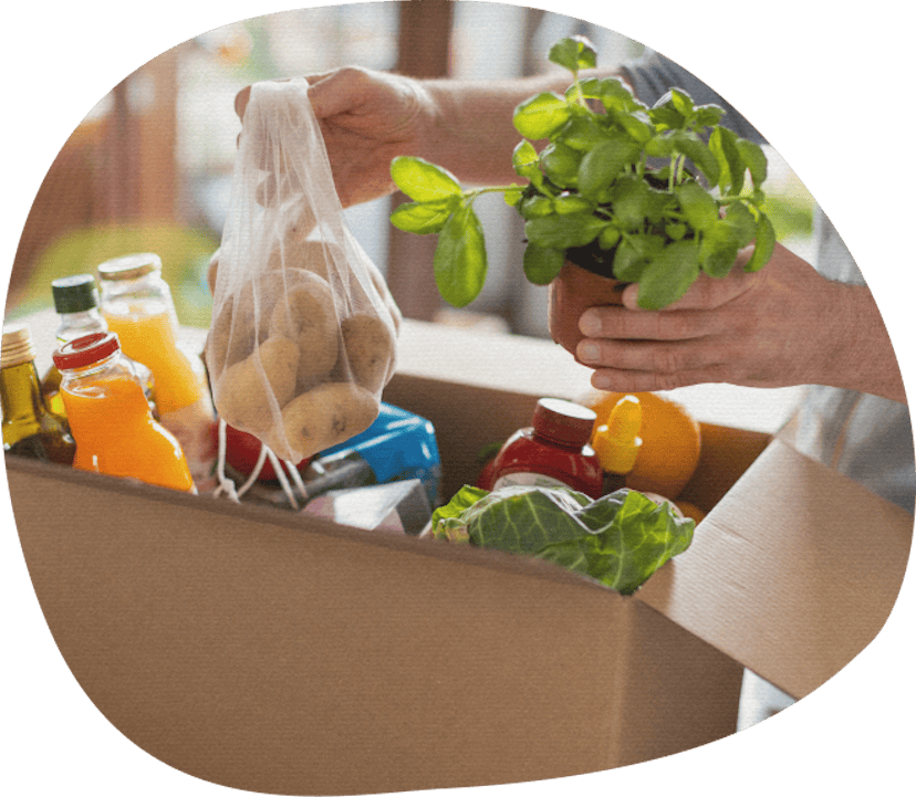 Plentiful - Partners