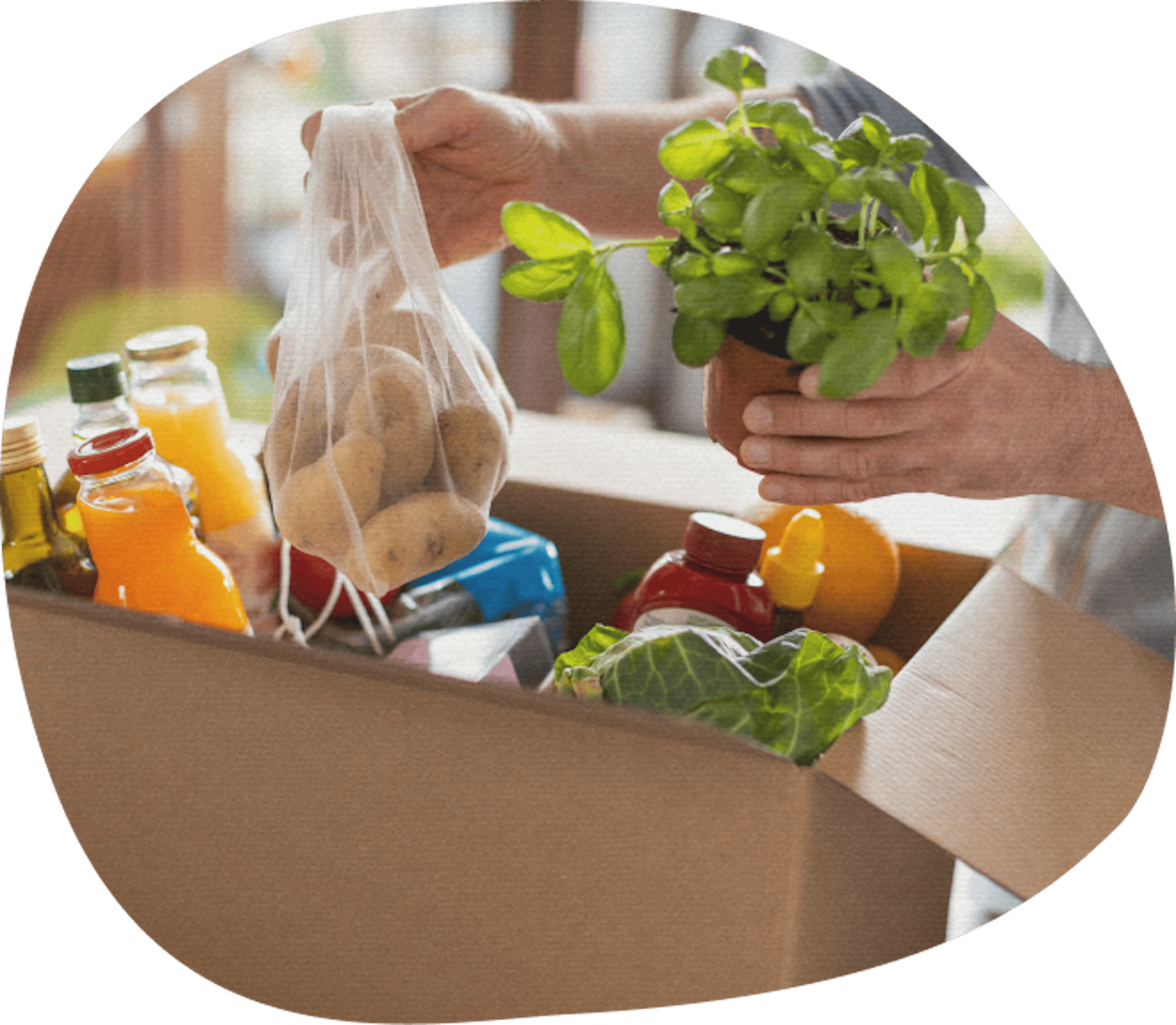 Plentiful - Providers